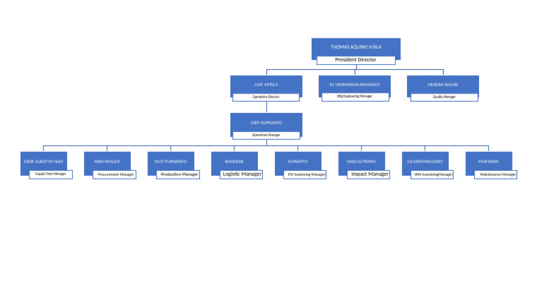 Company Leadership Team Overview | PDF
