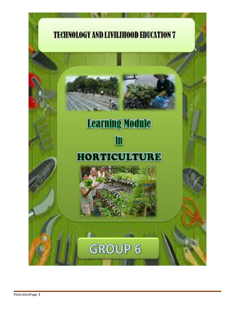 LEARNING PLAN-horti 7 | PDF | Urban Agriculture | Agriculture