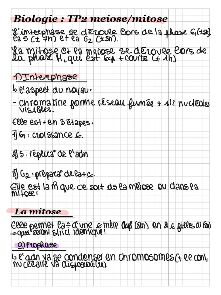 TP2 Préparation | PDF