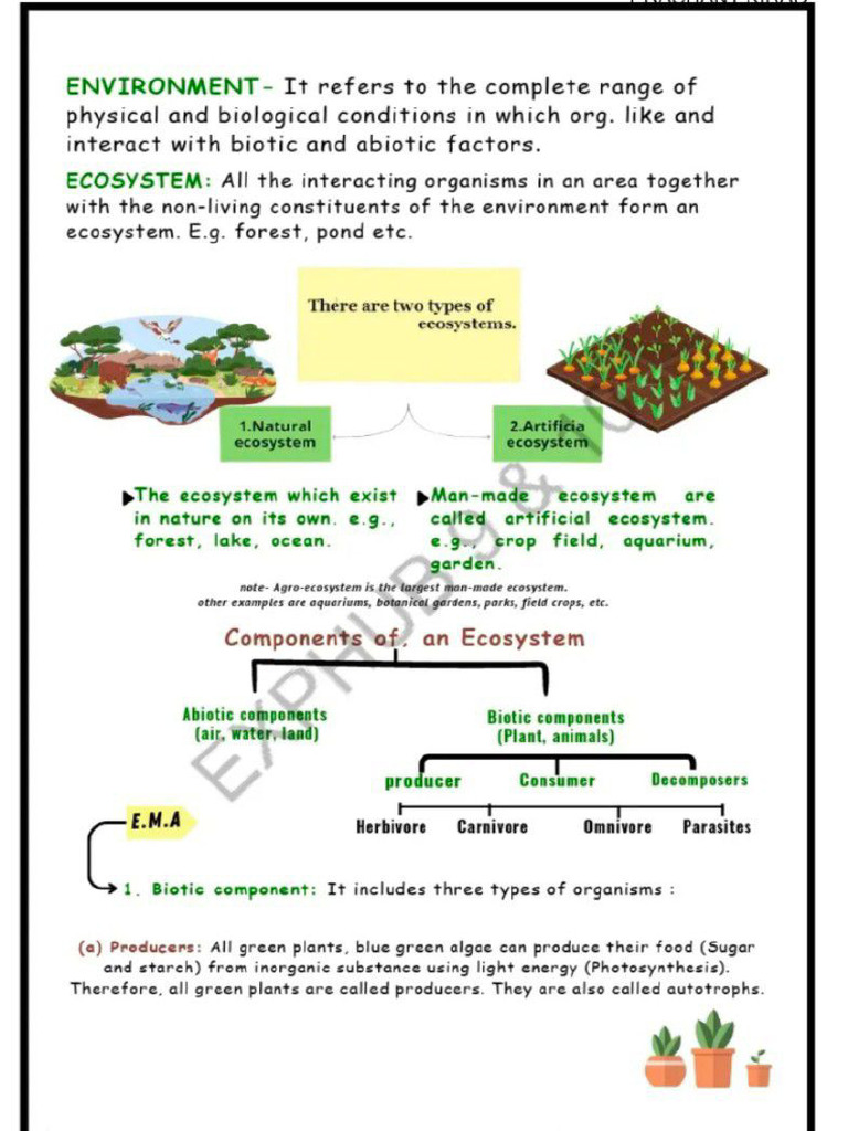 Our Environment Notes | PDF