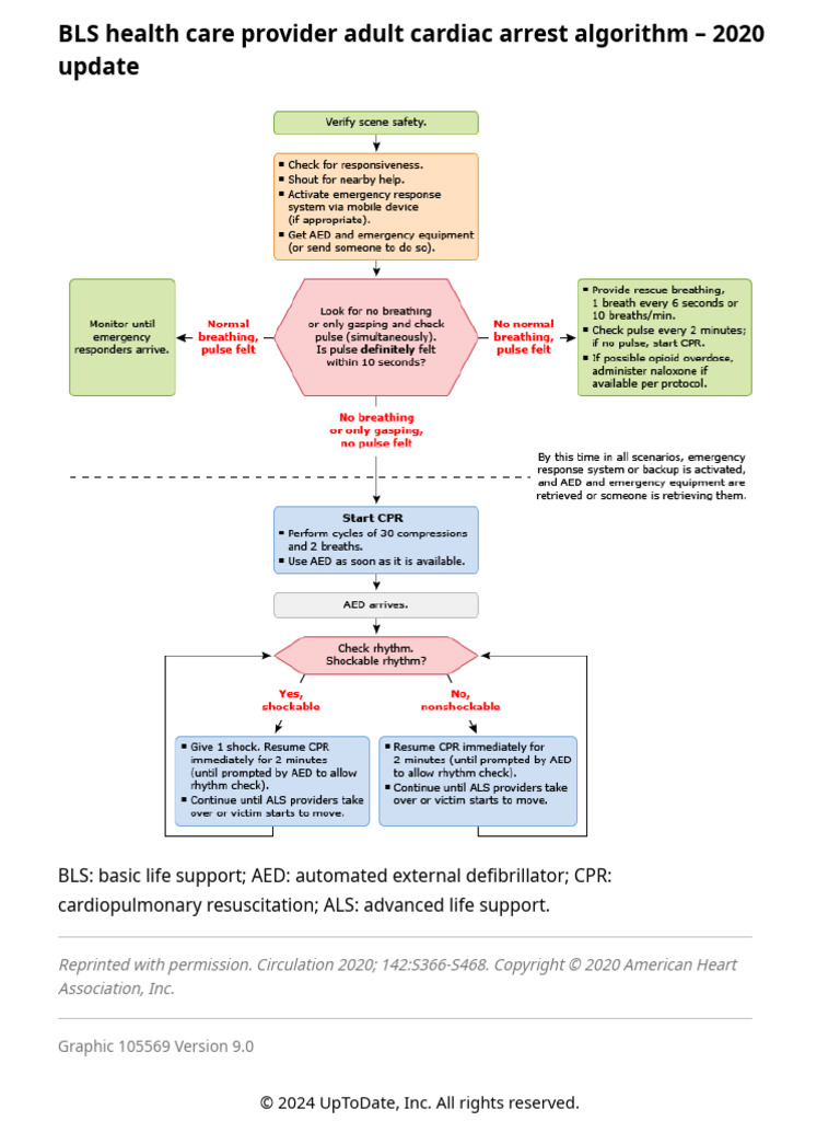 BLS: Basic Life Support AED: Automated External Defibrillator CPR ...
