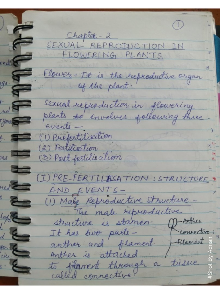 (Bio) Ch-1 Sexual Reproduction in Flowering Plants | PDF