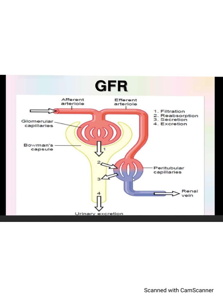 GFR | PDF