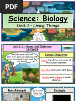 Human Skeleton: Unlabeled | PDF