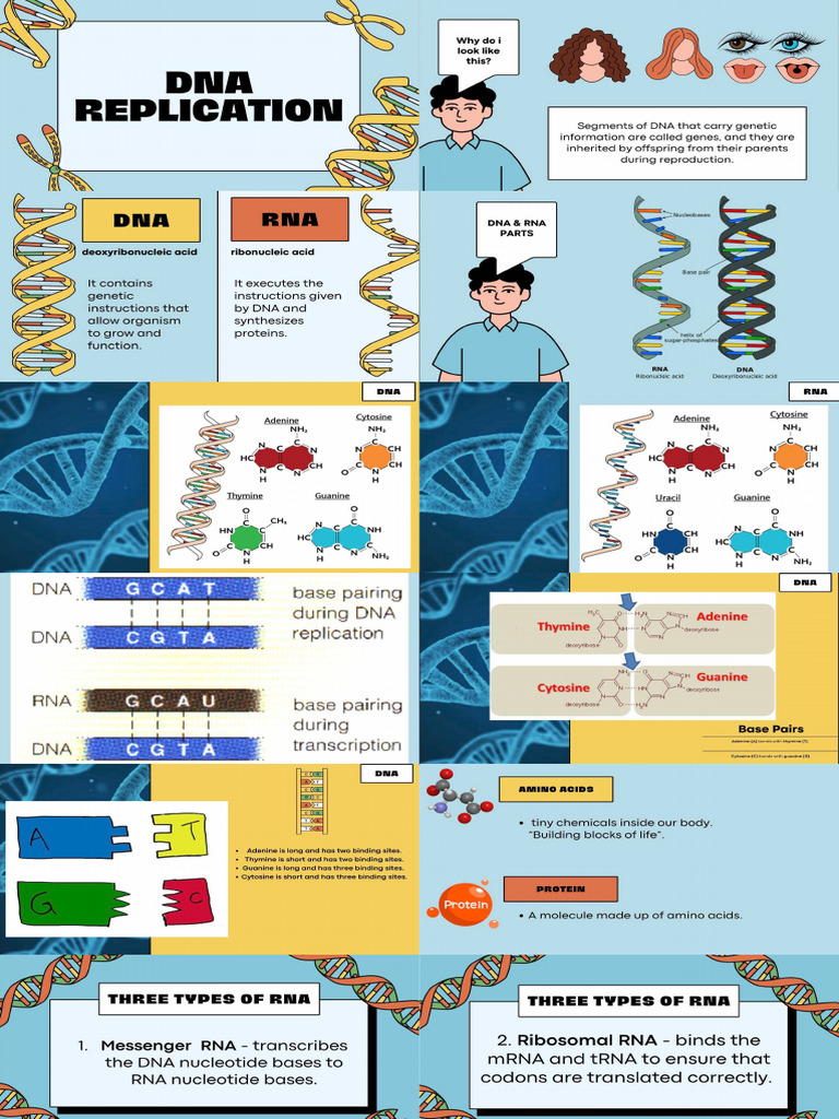 Sci Design PDF | PDF