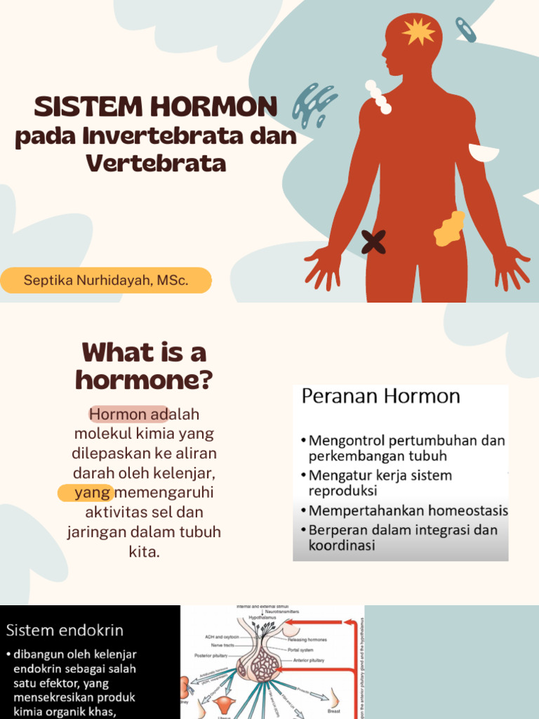 Sistem Hormon | PDF