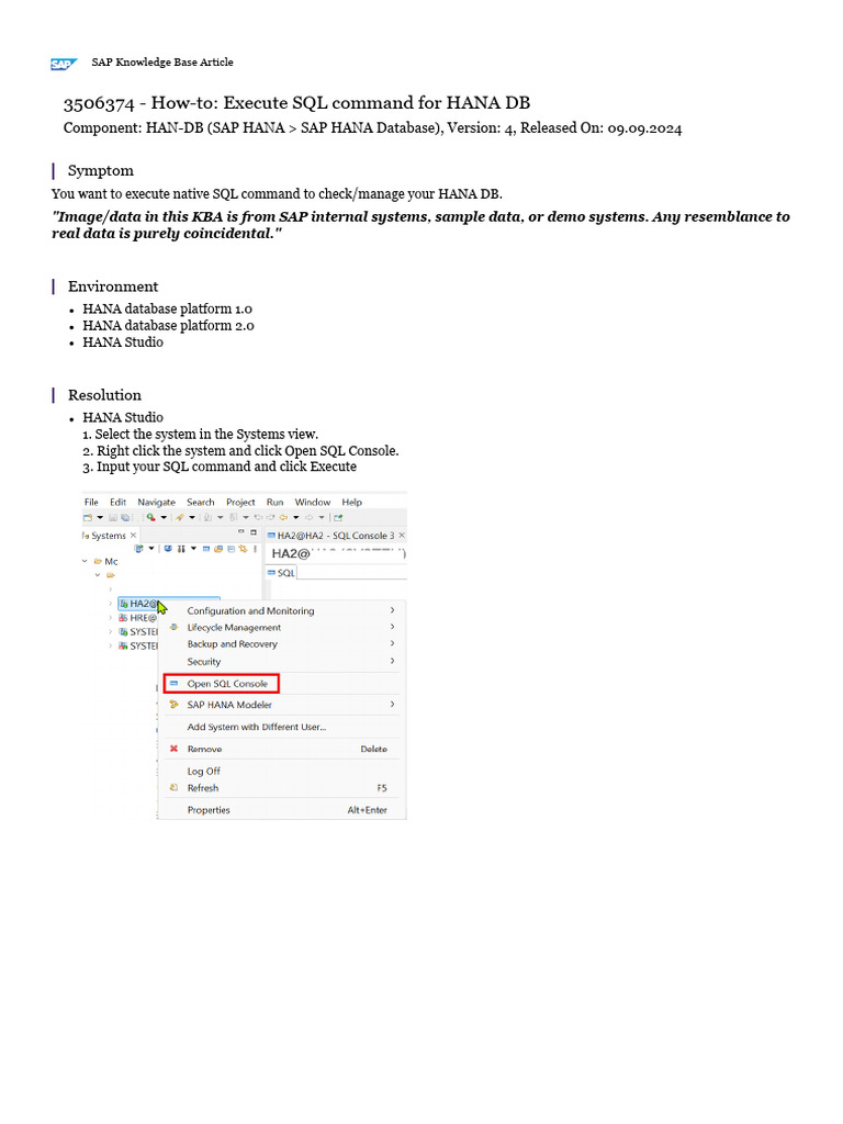 How-To Execute SQL Command For HANA DB | PDF