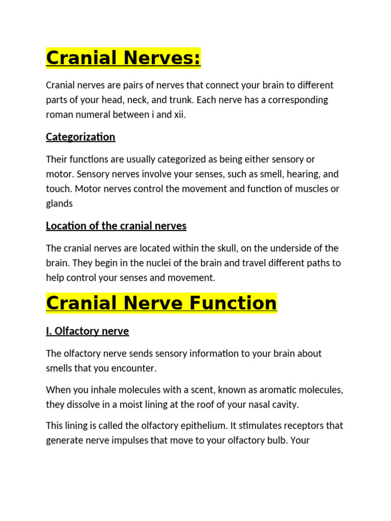 Understanding Cranial Nerves | PDF | Brainstem | Senses
