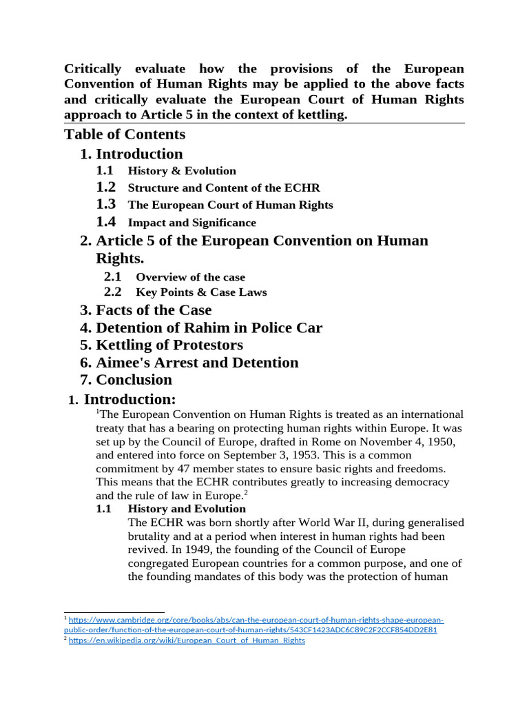 'Write up | PDF | European Convention On Human Rights | Detention (Imprisonment)