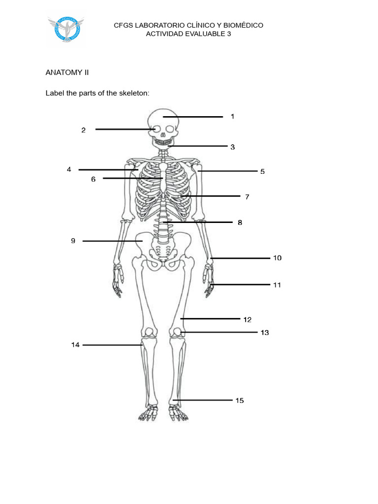 Actividad Evaluable 3 | PDF