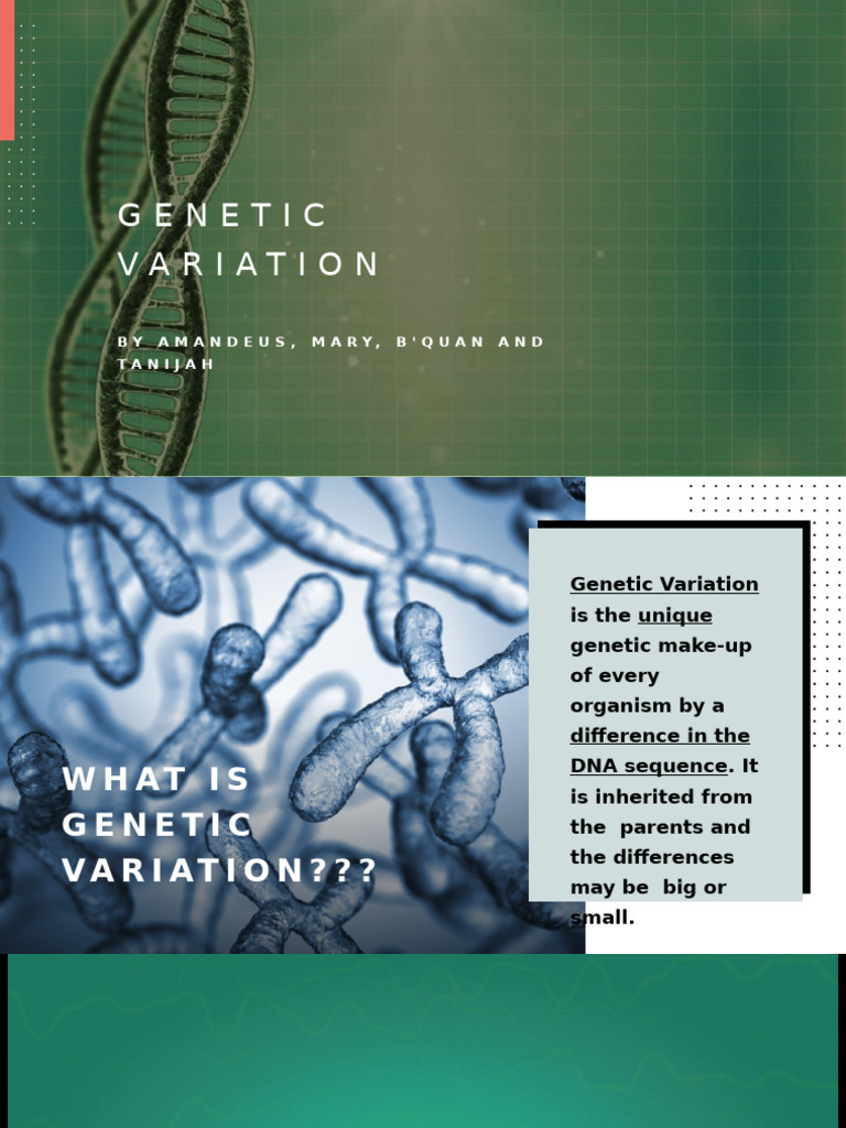 Genetic Variation PowerPoint Presentation Biology | PDF | Genetics ...