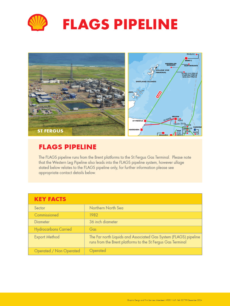Shell FLAGS Pipeline | PDF | Chemistry | Gases