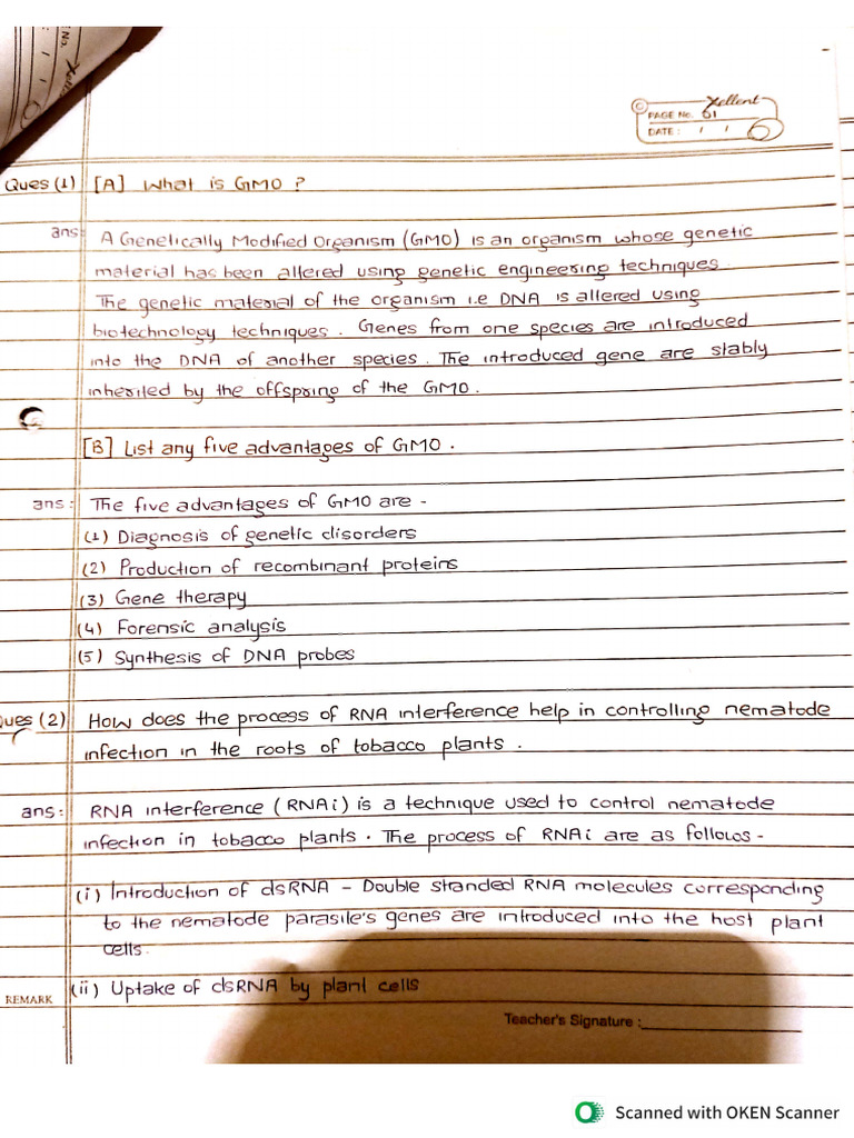 Botany Assignment | PDF