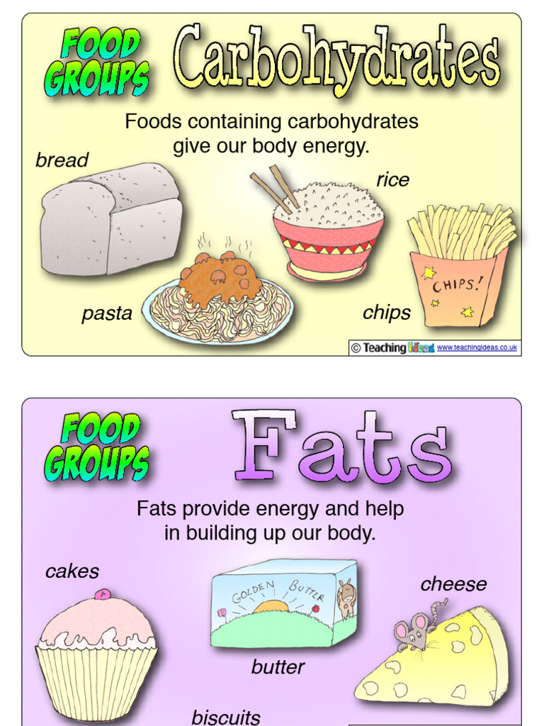Nutrition Basics for Students | PDF