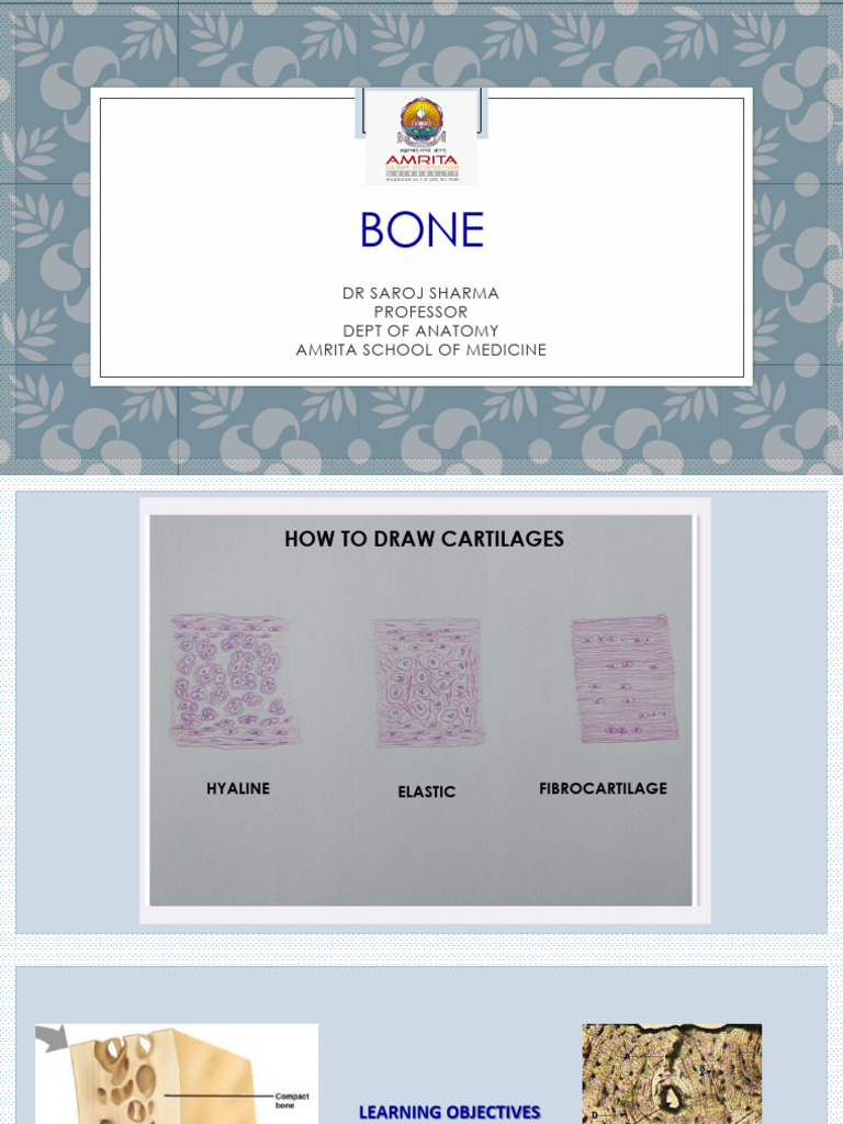 Hhh | PDF | Bone | Osteoblast
