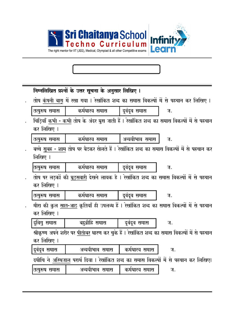 X Class Hindi SL (AP) Infinity Meta - Online Test - 3 | PDF