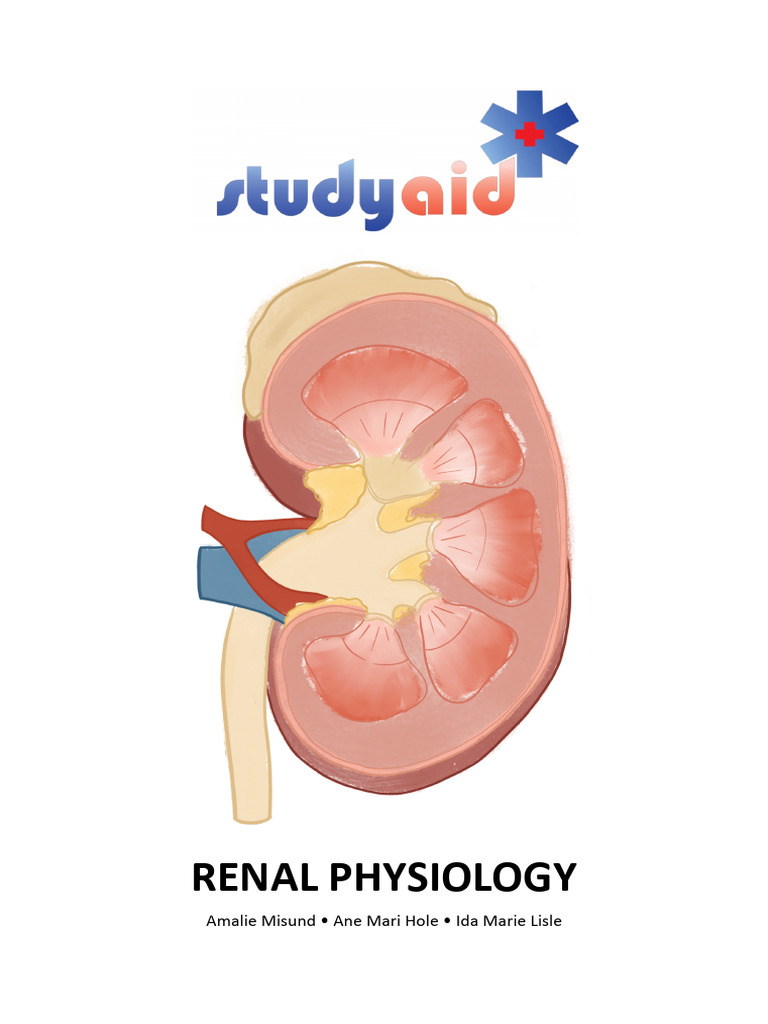 Studyaid Renal Physiology Booklet 2020 | PDF | Kidney | Physiology
