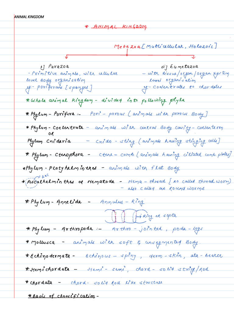 Basis of Classification | PDF