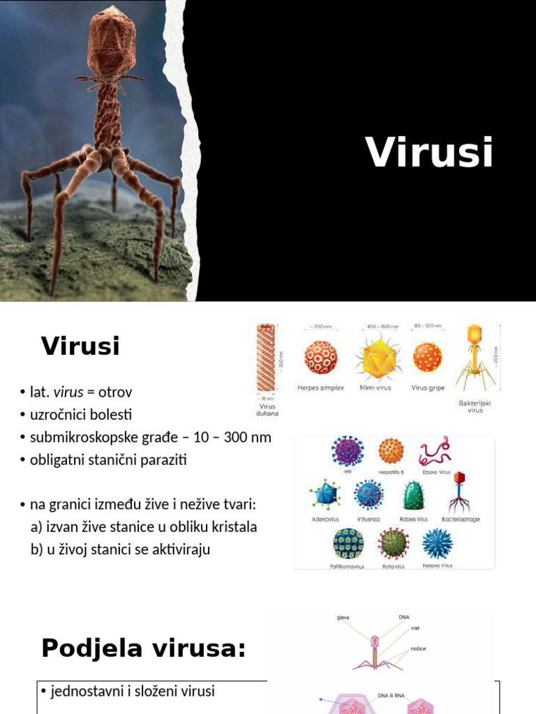 Virusi | PDF