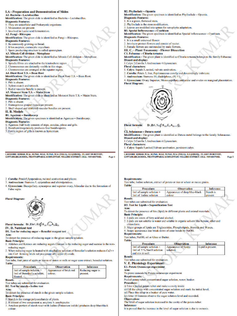 11th Bio-Botany EM Practical Notes-1 | PDF