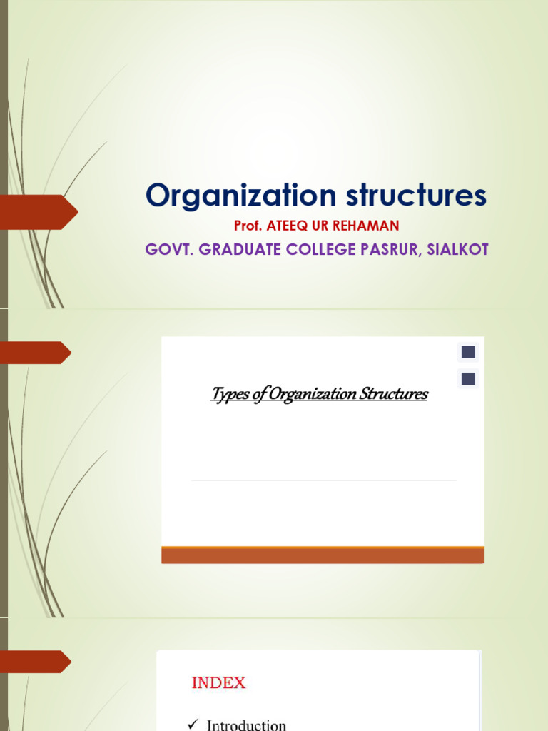 Organization structures | PDF