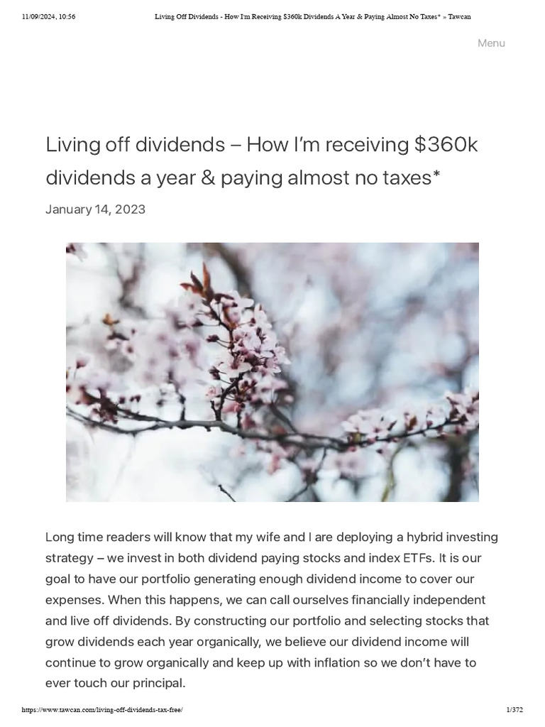 Living Off Dividends - How I'm Receiving $360k Dividends A Year ...