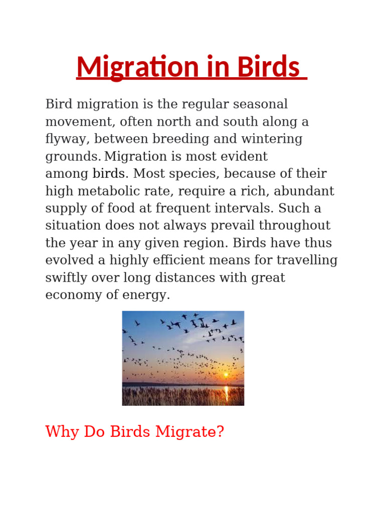 Migration, Lymphatic, Endocrine, Blood and Migration in Birds | PDF ...
