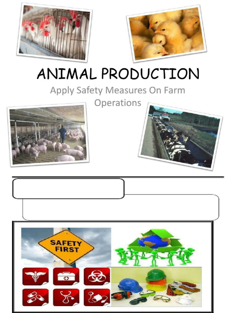 Animal production | PDF