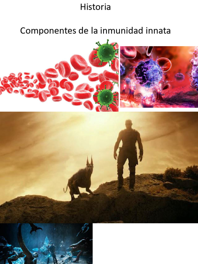 Presentacion Inmunologia 1 2024 | PDF | Sistema inmune | Inflamación