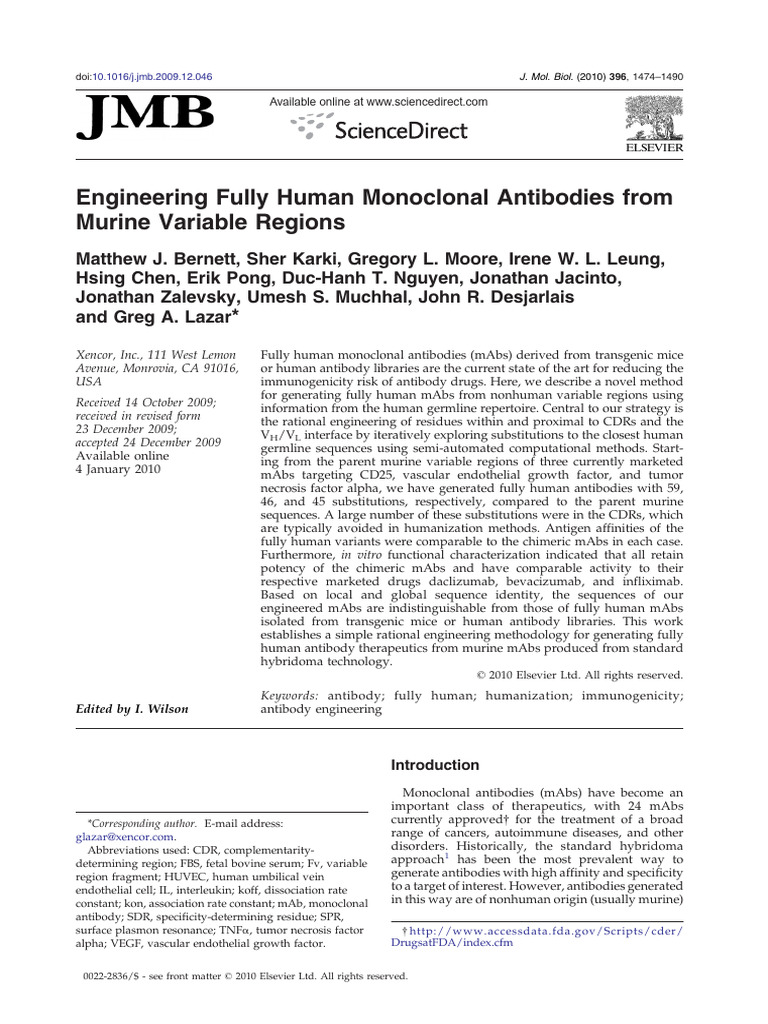 Engineering Fully Human Monoclonal Antibodies From Murine Variable ...