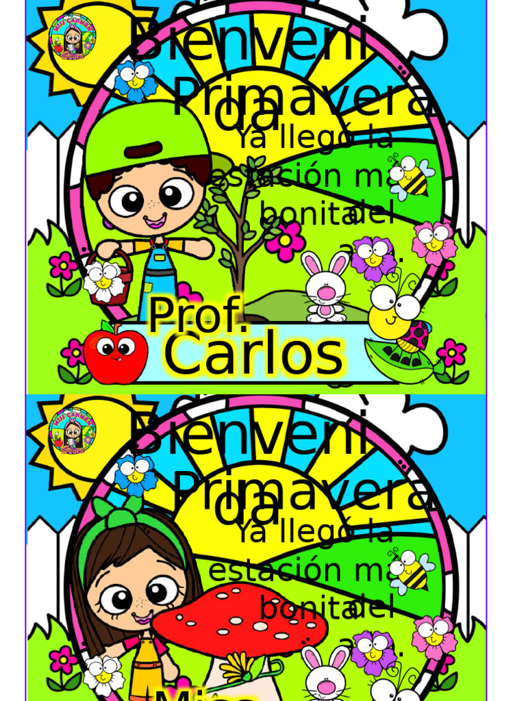 Solapin Primavera | PDF