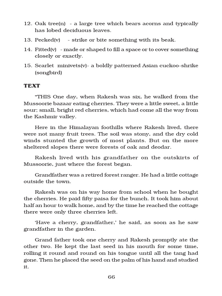 The Cherry Tree | PDF | Trees | Cherry