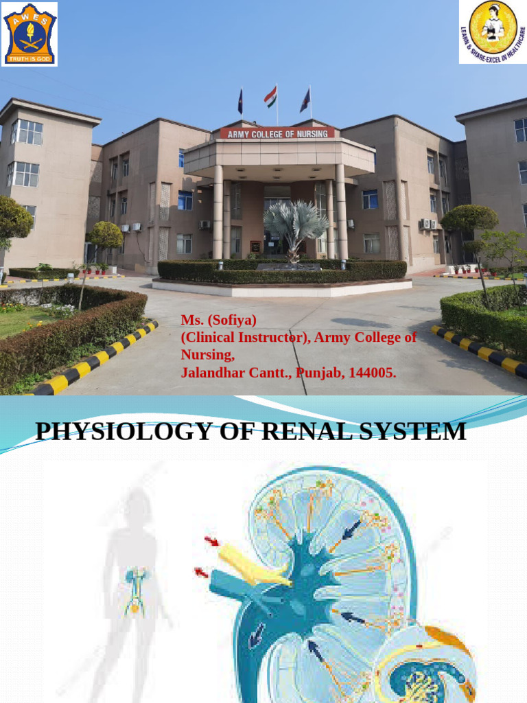 On Physiology of Renal System Unit-Ix | PDF | Urination | Kidney
