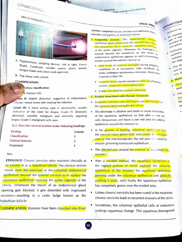 cer | PDF | Gynaecology | Sexual Anatomy
