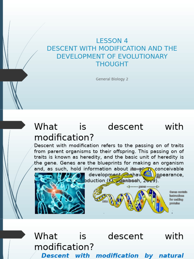 Descent with Modification in Evolution | PDF | Evolution | Natural ...