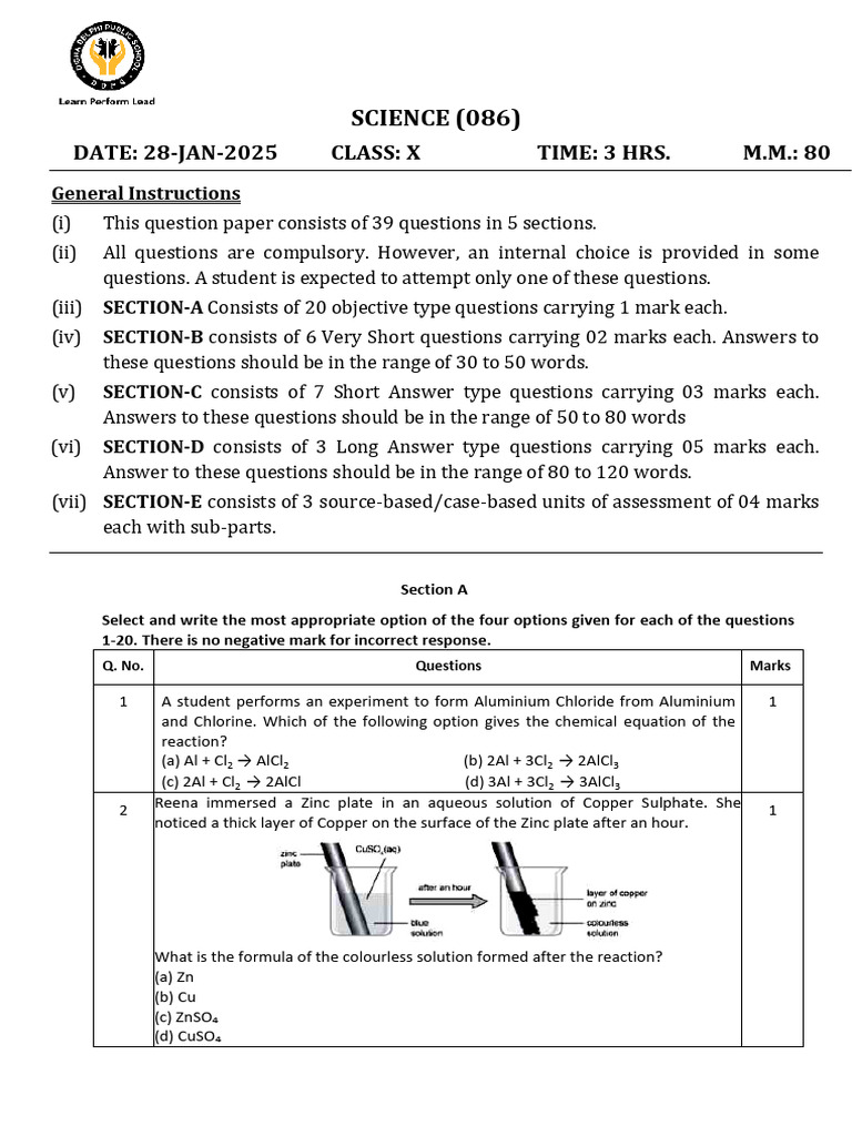 Class-10 Science 28-Jan-25 PB (2024-25) | PDF | Anode | Ph