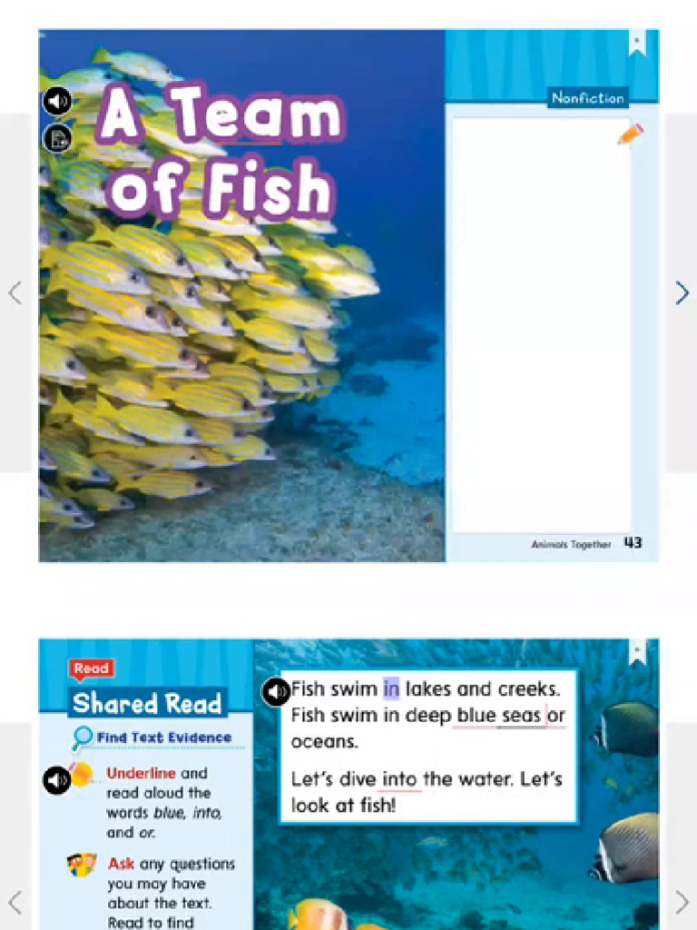 A Team of Fish | PDF