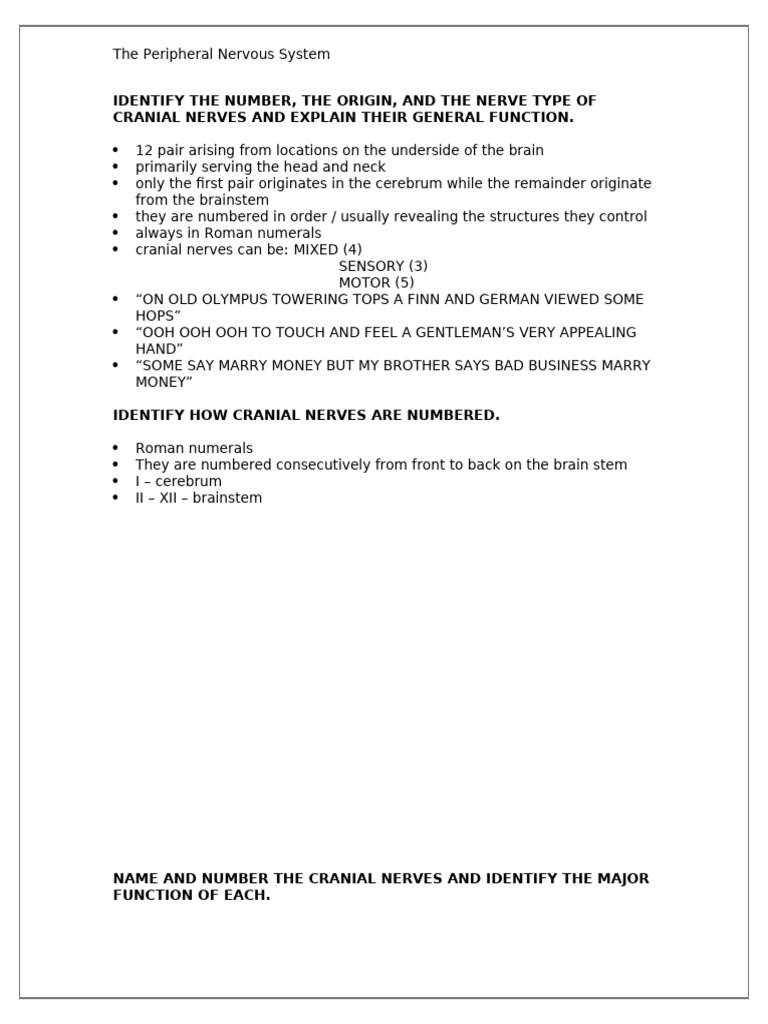 Peripheral Nervous System Notes | PDF | Human Anatomy | Neuroanatomy