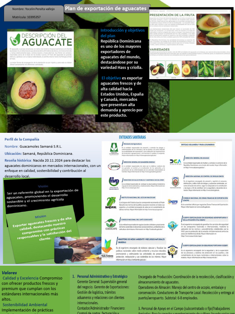 pla xportacion ag.8 | PDF | Sustentabilidad | Calidad (comercial)