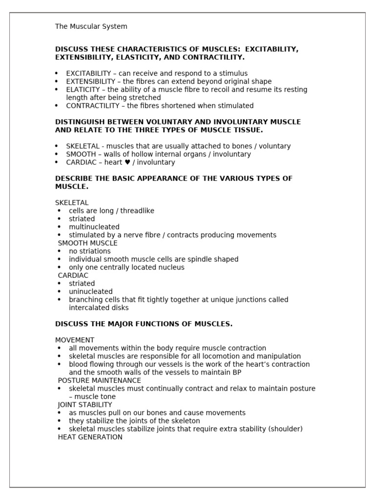 The Muscular System Notes | PDF | Muscle Contraction | Motor Neuron