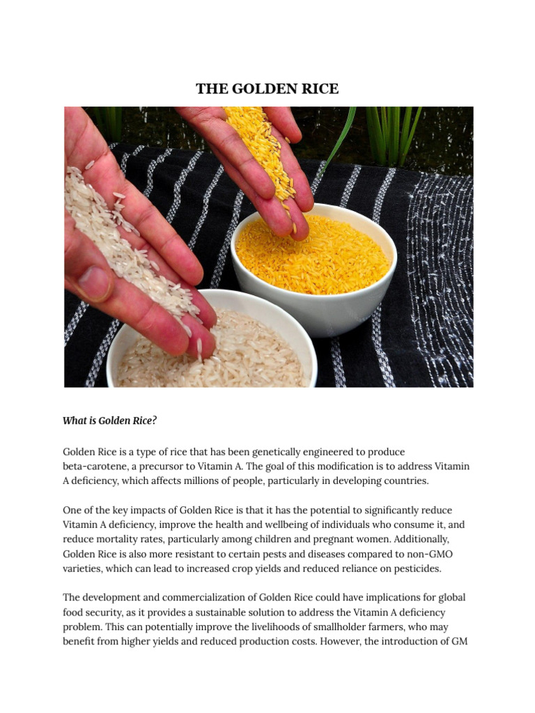 Golden Rice Genetic Mutation of Organisms | PDF