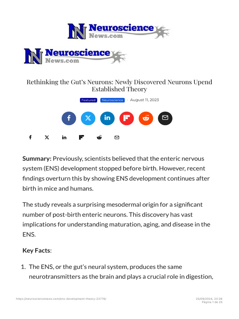 Rethinking the Gut's Neurons- Newly Discovered Neurons Upend ...
