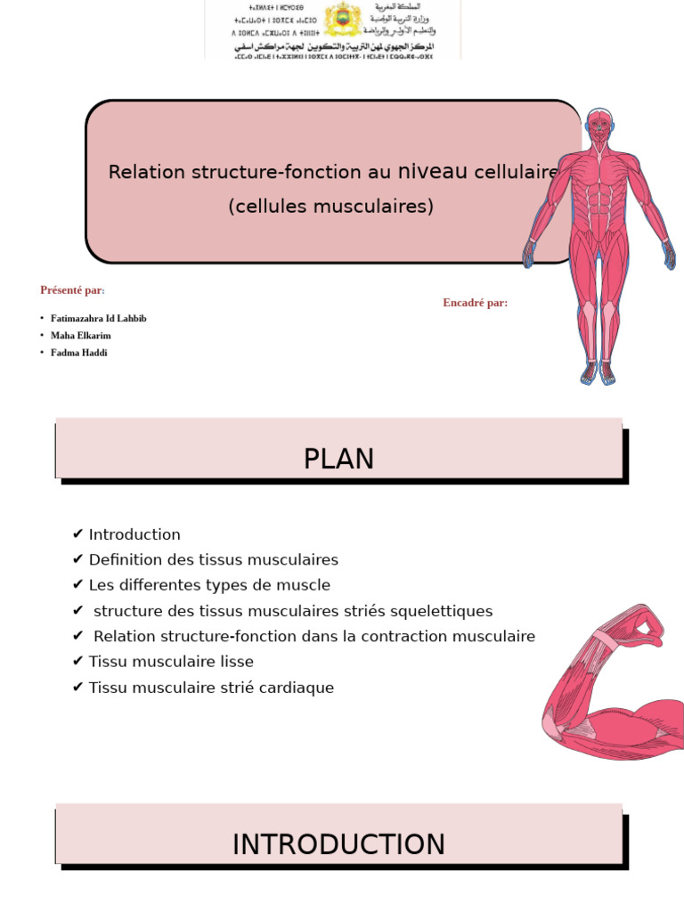 BIOLOGIE Musc | PDF | Muscle | Contraction du muscle