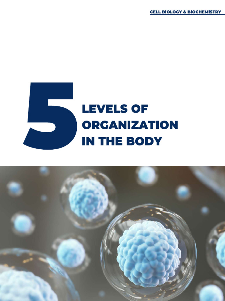 Cell Tissue and Origram System | PDF