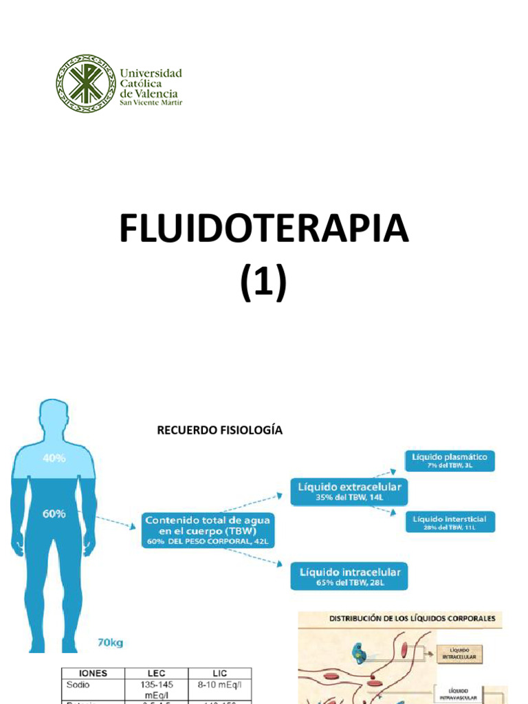 Guía Completa de Fluidoterapia Médica | PDF | Tipo de sangre | Sangre