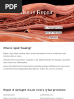 First vs. Second Intention Healing | PDF | Wound Healing | Scar
