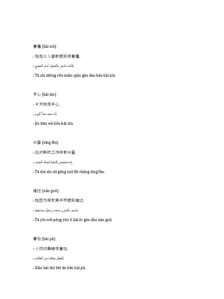 Chinese Sentences With Translation and Pronunciation | PDF