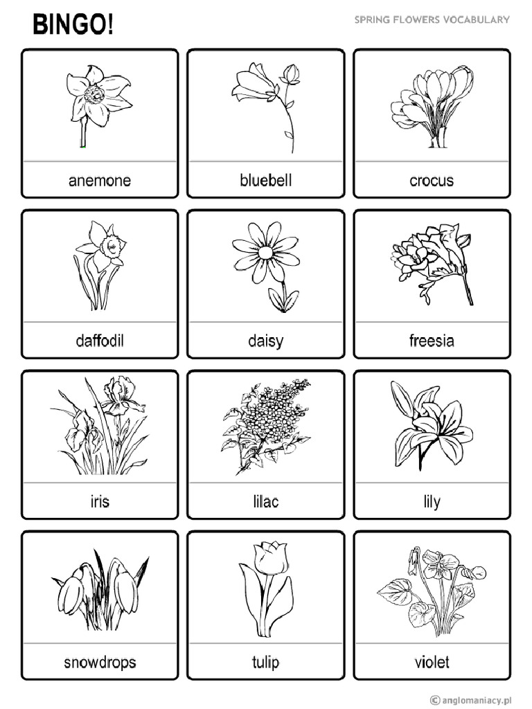 Spring Flowers B | PDF