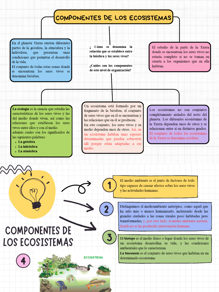 Componentes de Los Ecosistemas | PDF | Ecosistema | Entorno natural