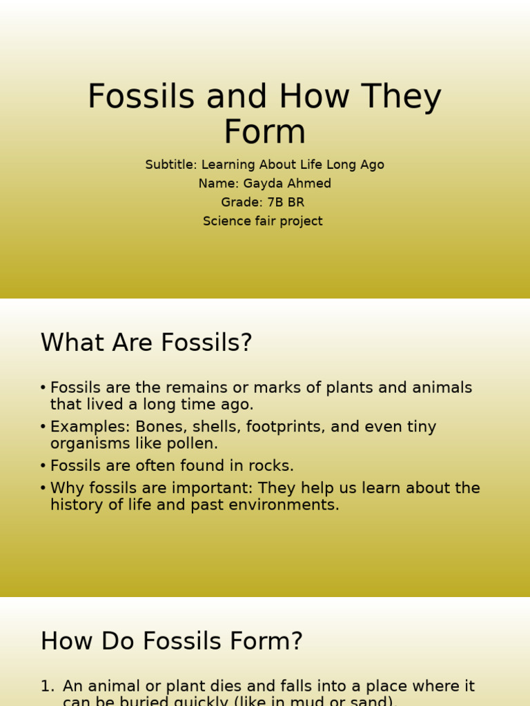 Fossils and How They Form Science Fair | PDF